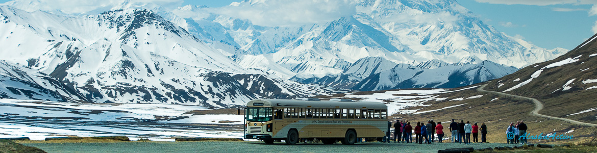 Best Denali Sightseeing Tours & Activities | Alaska Active Tours