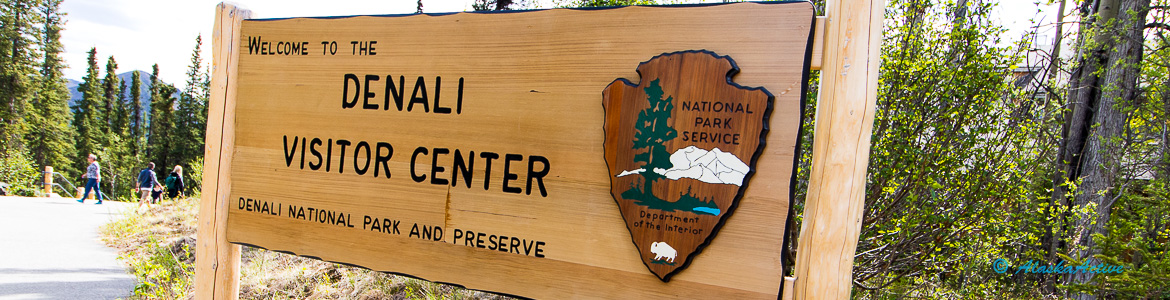 Denali Park Road Trip, Driving Tour to Denali National Park