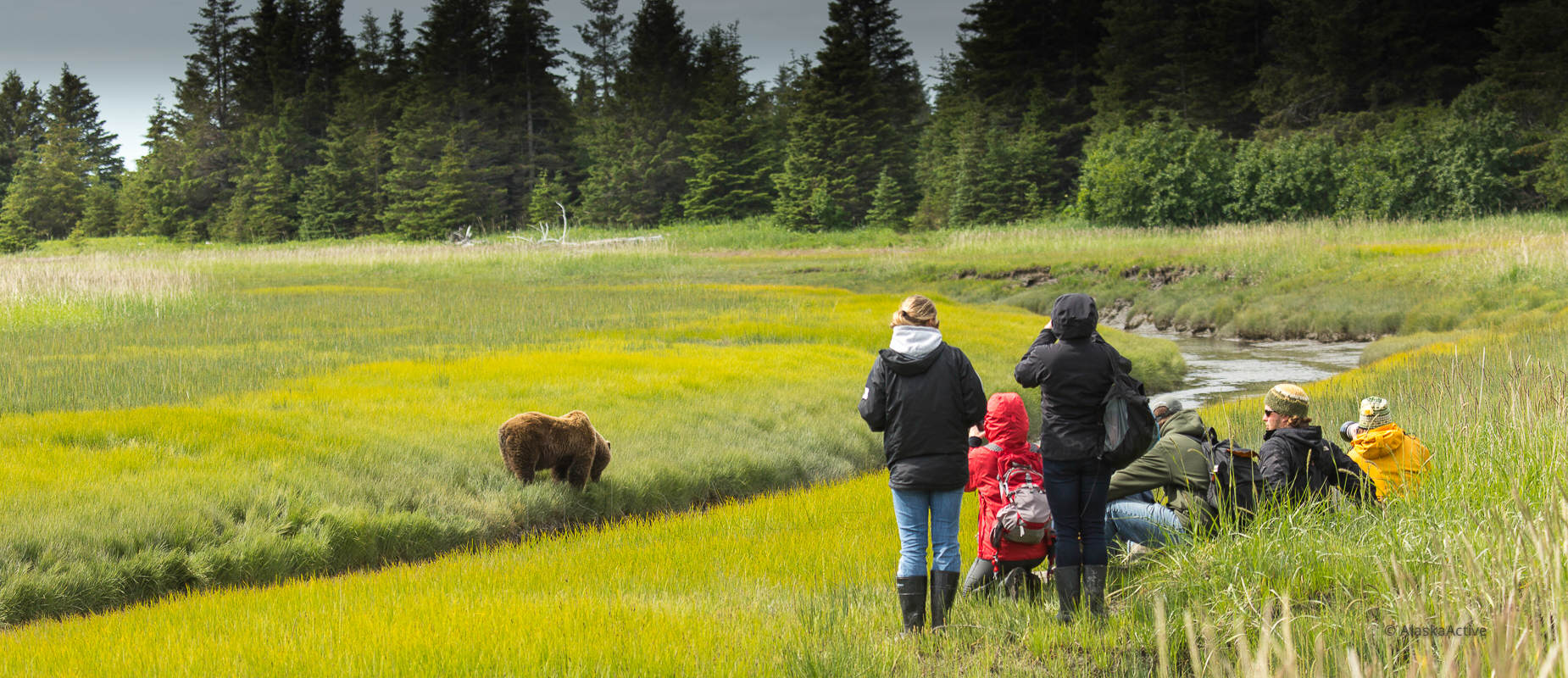 Alaska Vacation | Top Alaska Tours and Trips