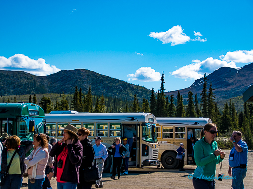 Seward Rail Tour to Denali National Park | Seward Train Package