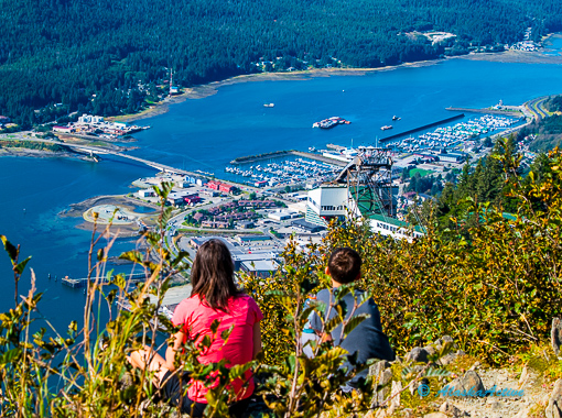 Juneau Rail and Drive Tour | Glacier Bay & Denali Tour Package