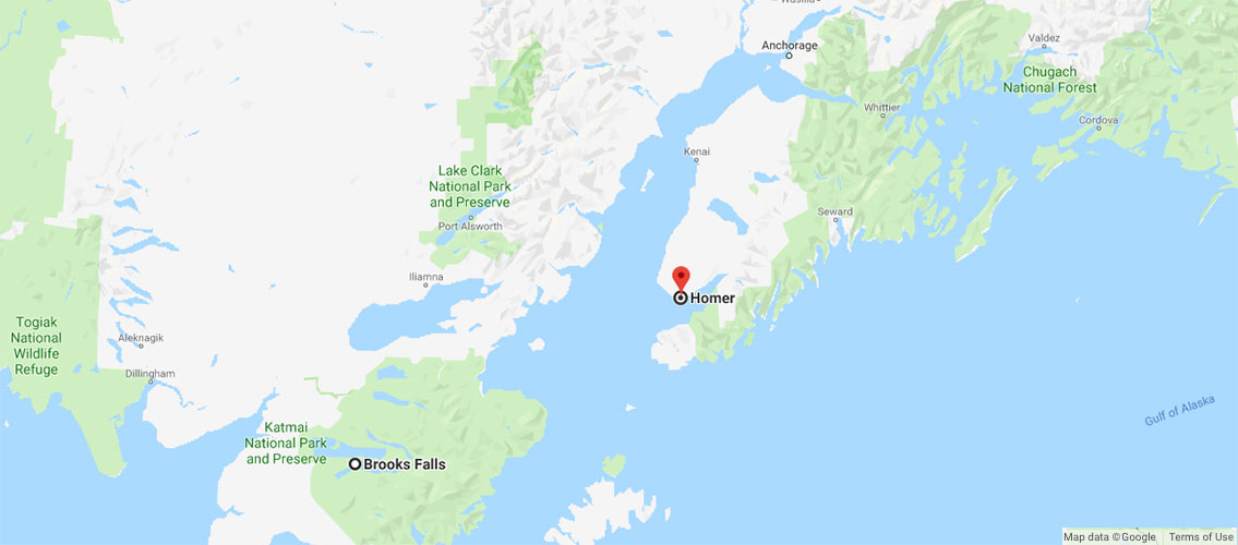 Homer Bear Viewing Tour to Katmai Brooks Falls