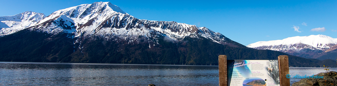 Skagway Rail and Drive Tour | Skagway Vacation Package